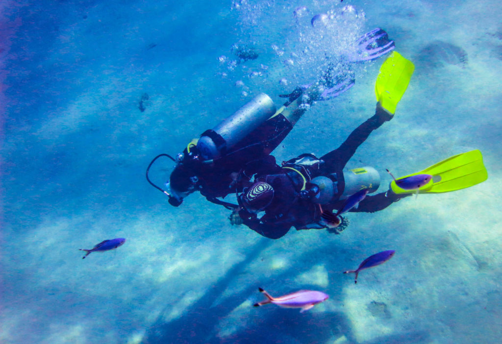 Scuba Diving Courses ~ Umbi Sharks Bay